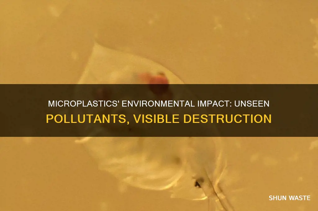 Microplastics' Environmental Impact: Unseen Pollutants, Visible ...