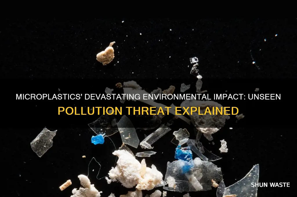 Microplastics' Devastating Environmental Impact: Unseen Pollution ...