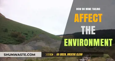 Mining's Environmental Impact: Exploring The Devastating Effects On ...