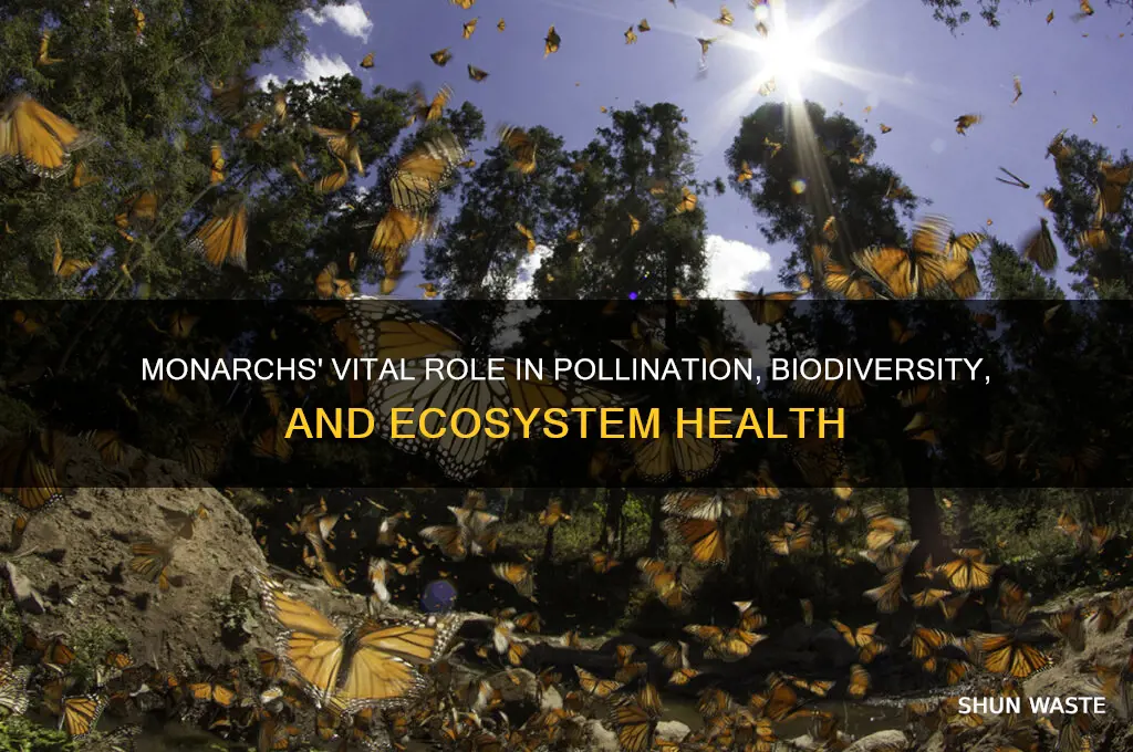 Monarchs' Vital Role In Pollination, Biodiversity, And Ecosystem Health ...