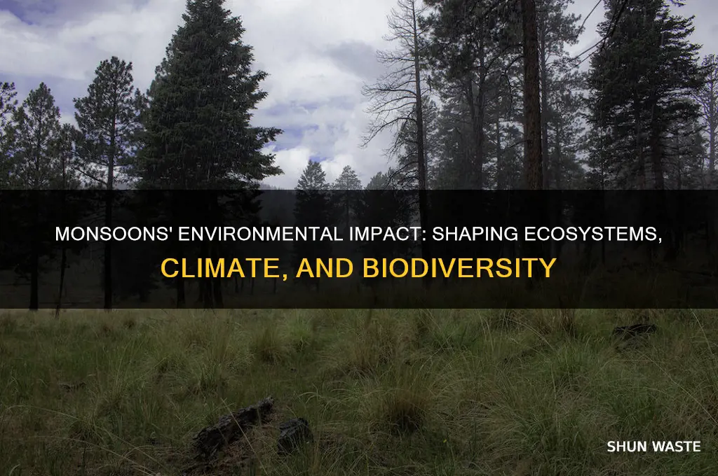 Monsoons' Environmental Impact: Shaping Ecosystems, Climate, And ...