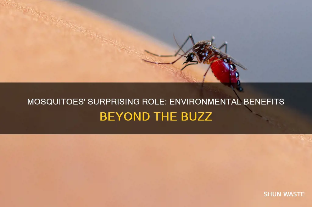 Mosquitoes' Surprising Role: Environmental Benefits Beyond The Buzz ...