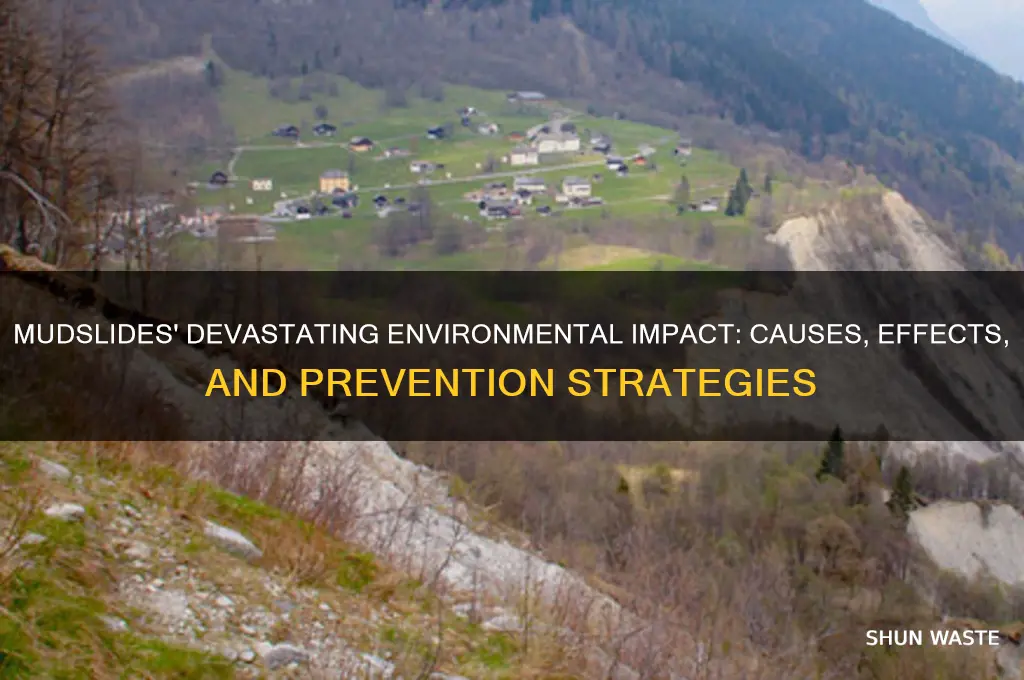 Mudslides' Devastating Environmental Impact: Causes, Effects, And ...