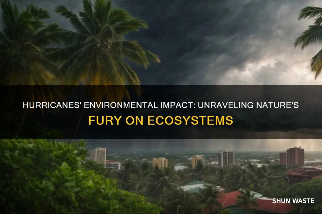 Hurricanes' Environmental Impact: Unraveling Nature's Fury On ...