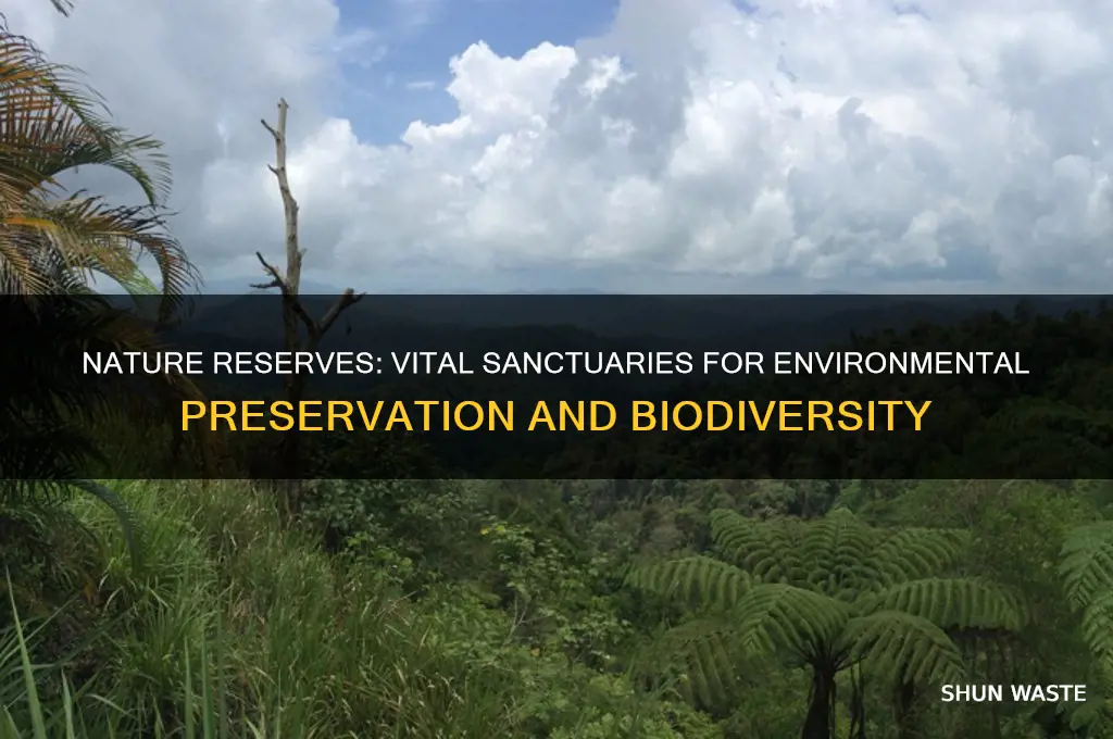 Nature Reserves: Vital Sanctuaries For Environmental Preservation And ...