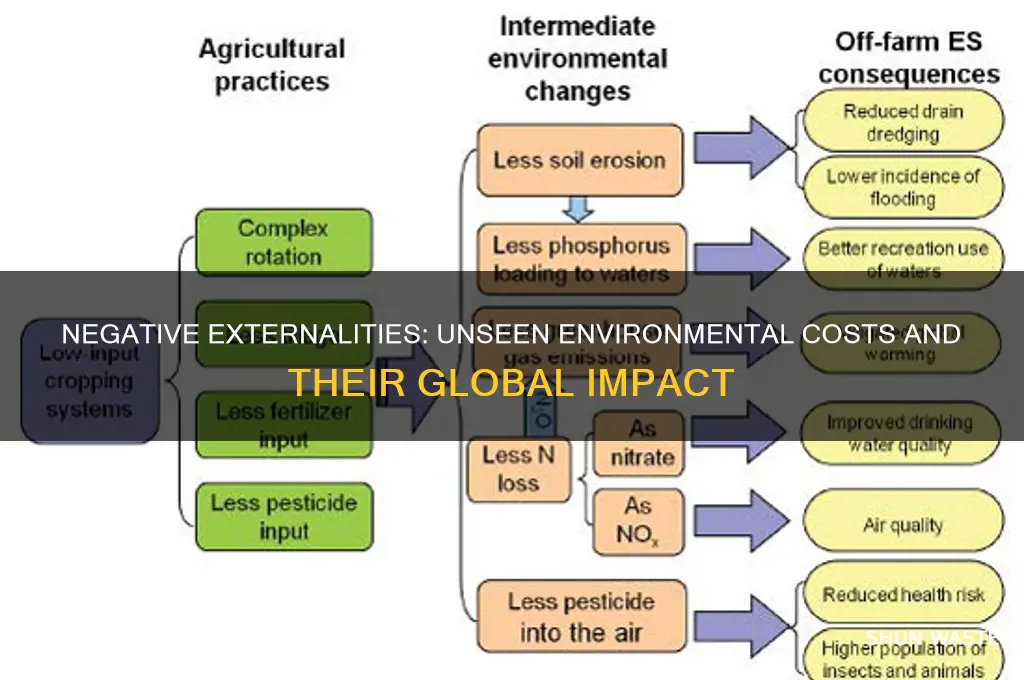 Negative Externalities: Unseen Environmental Costs And Their Global ...