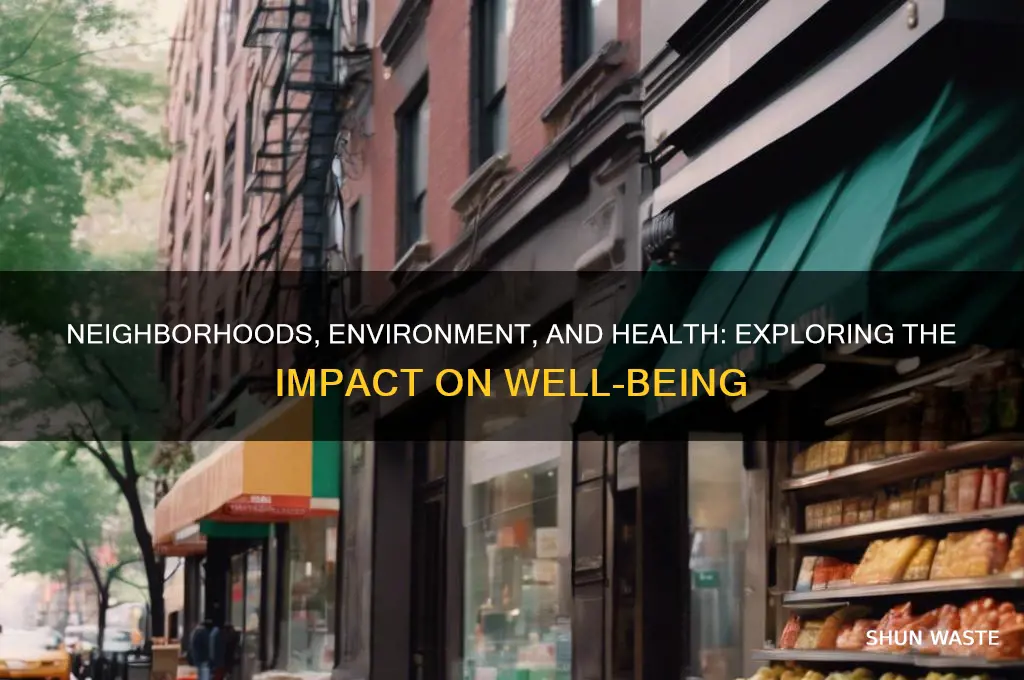 Neighborhoods, Environment, And Health: Exploring The Impact On Well ...