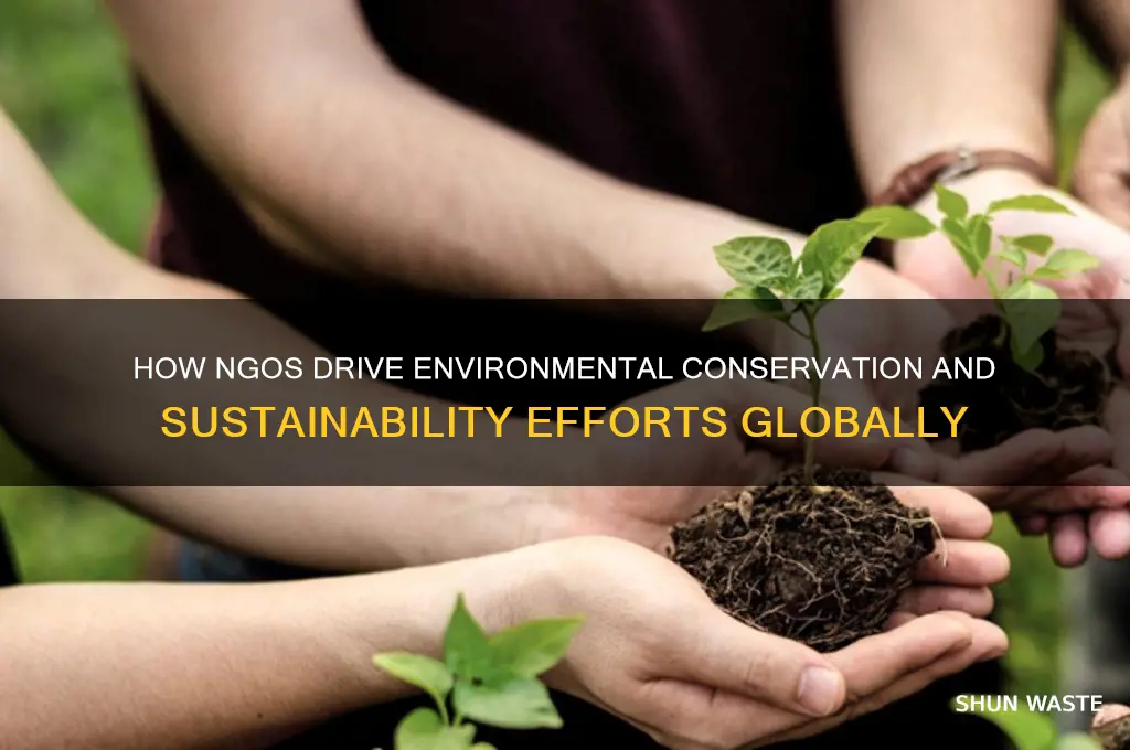 How Ngos Drive Environmental Conservation And Sustainability Efforts ...
