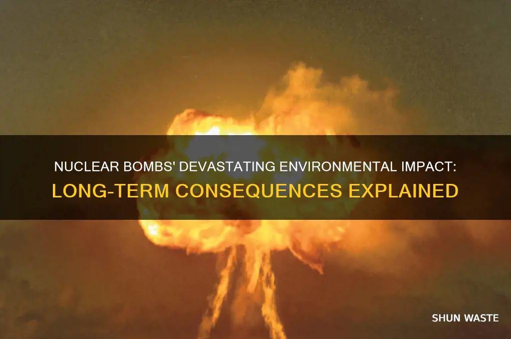 Nuclear Bombs' Devastating Environmental Impact: Long-Term Consequences ...