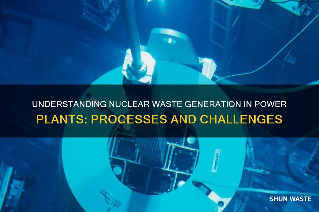 Understanding Nuclear Waste Generation In Power Plants: Processes And ...