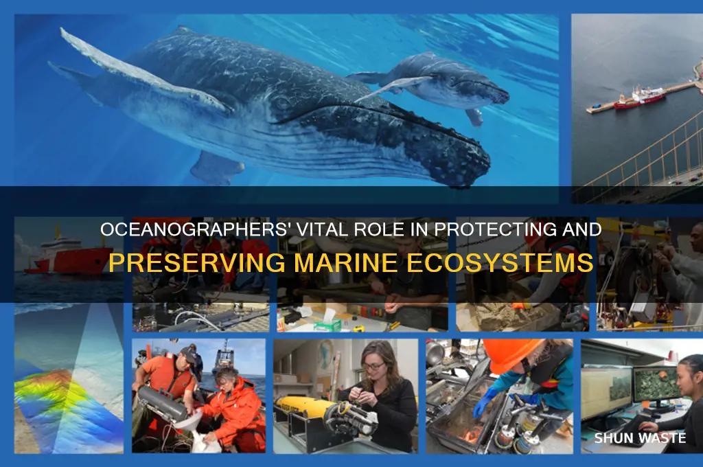Oceanographers' Vital Role In Protecting And Preserving Marine ...