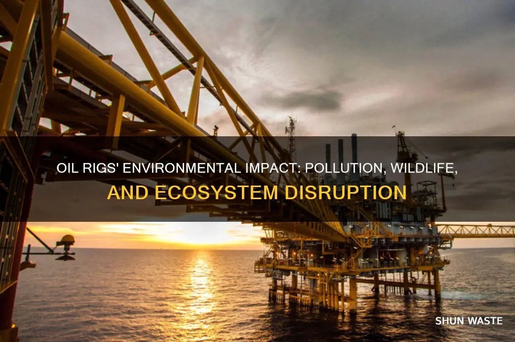 Oil Rigs' Environmental Impact: Pollution, Wildlife, And Ecosystem ...