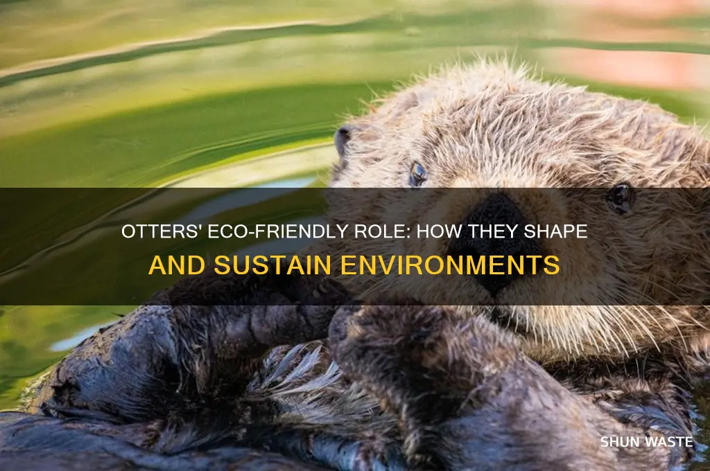 Otters' Eco-Friendly Role: How They Shape And Sustain Environments ...