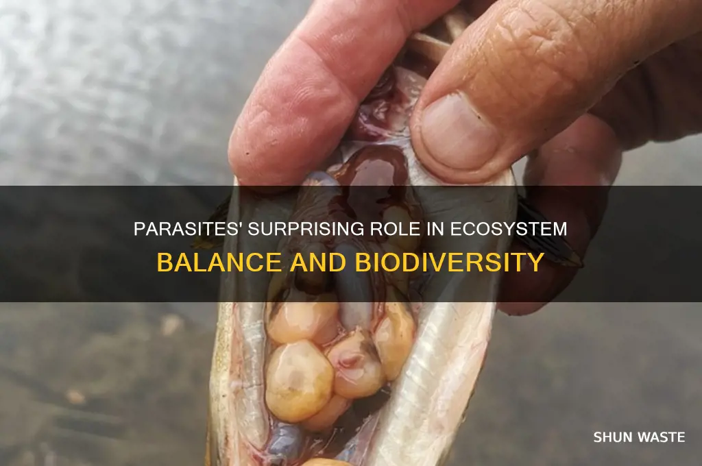 Parasites' Surprising Role In Ecosystem Balance And Biodiversity ...