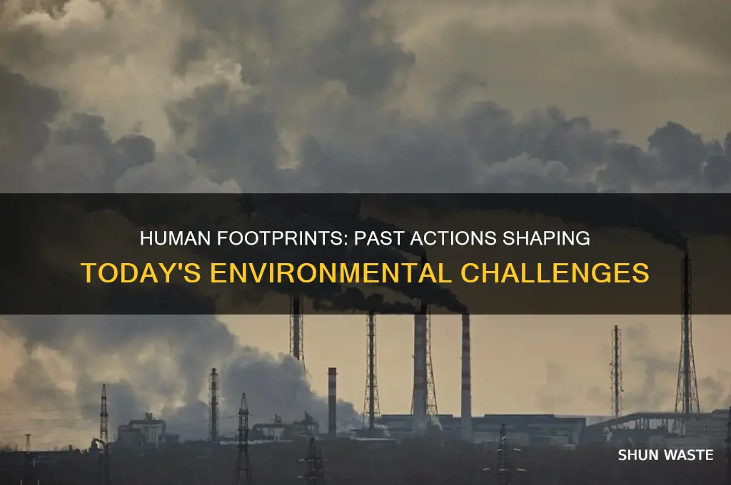 Human Footprints: Past Actions Shaping Today's Environmental Challenges ...