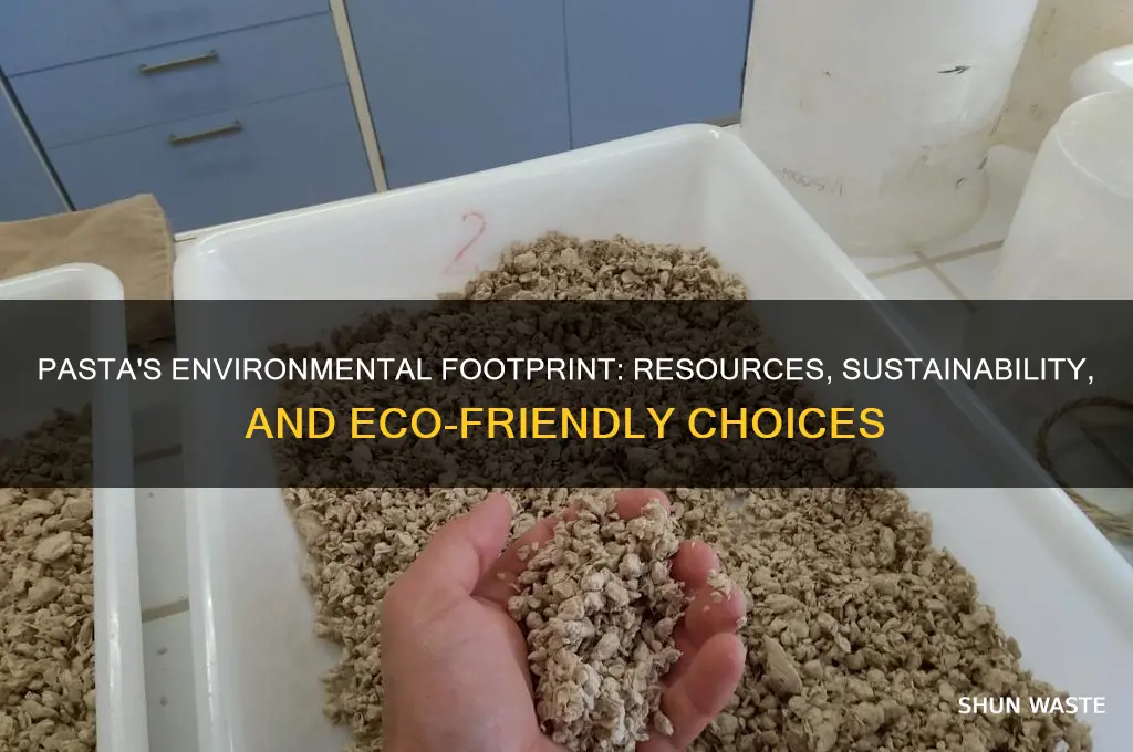 Pasta's Environmental Footprint: Resources, Sustainability, And Eco ...