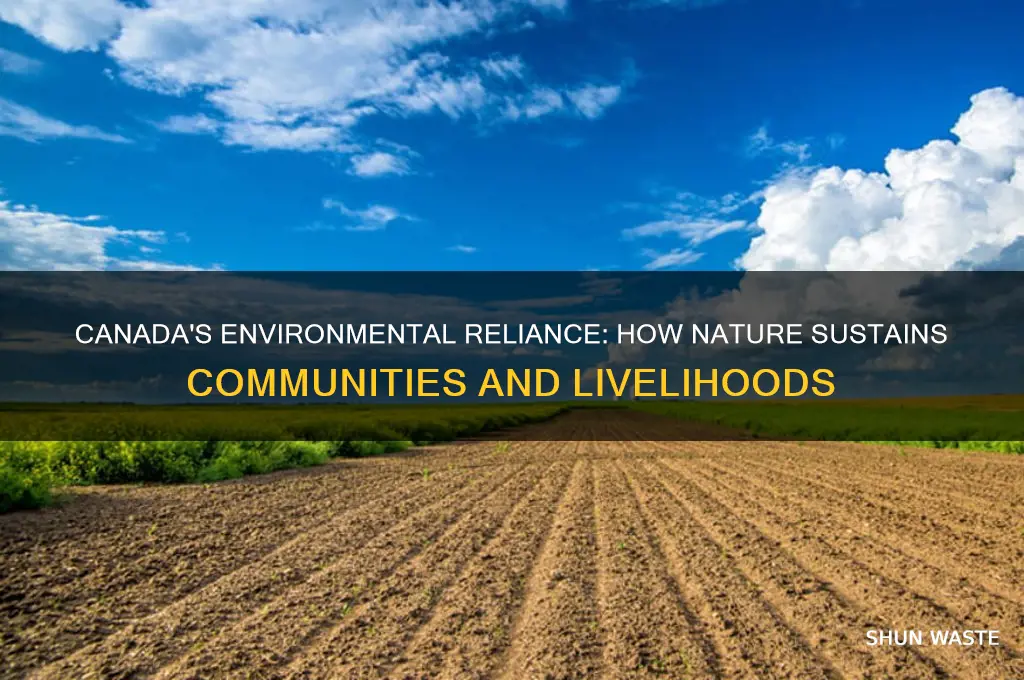 Canada's Environmental Reliance: How Nature Sustains Communities And ...
