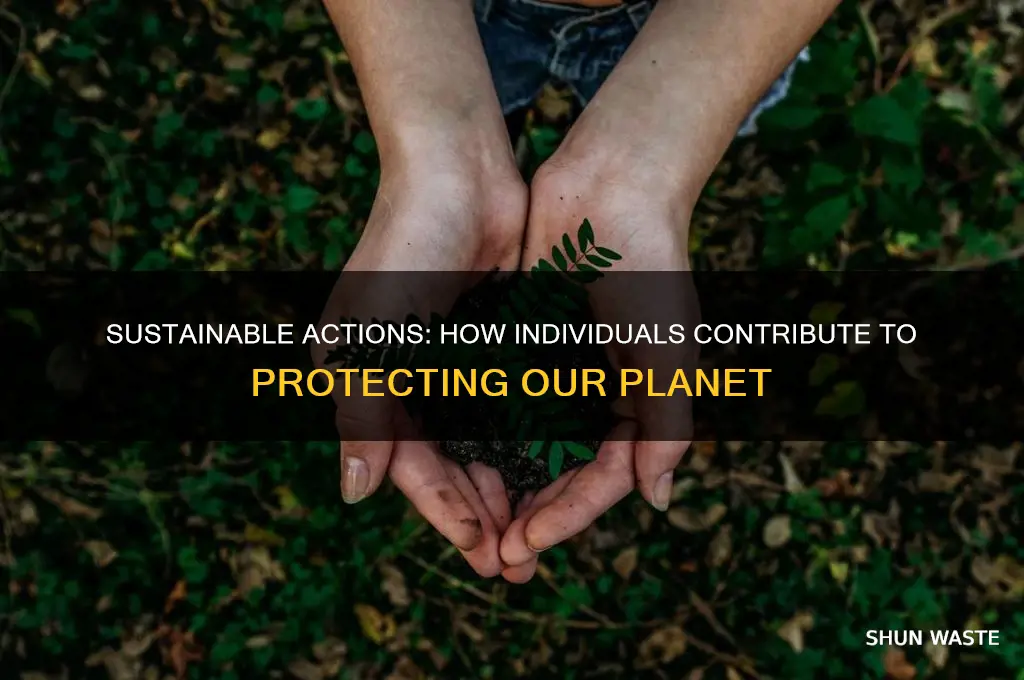 Sustainable Actions: How Individuals Contribute To Protecting Our ...