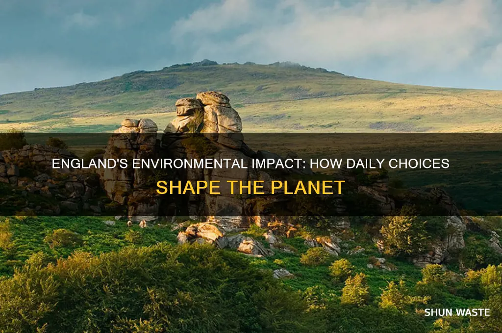 England's Environmental Impact: How Daily Choices Shape The Planet ...