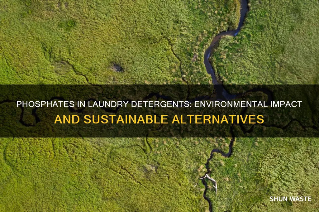 Phosphates In Laundry Detergents: Environmental Impact And Sustainable ...