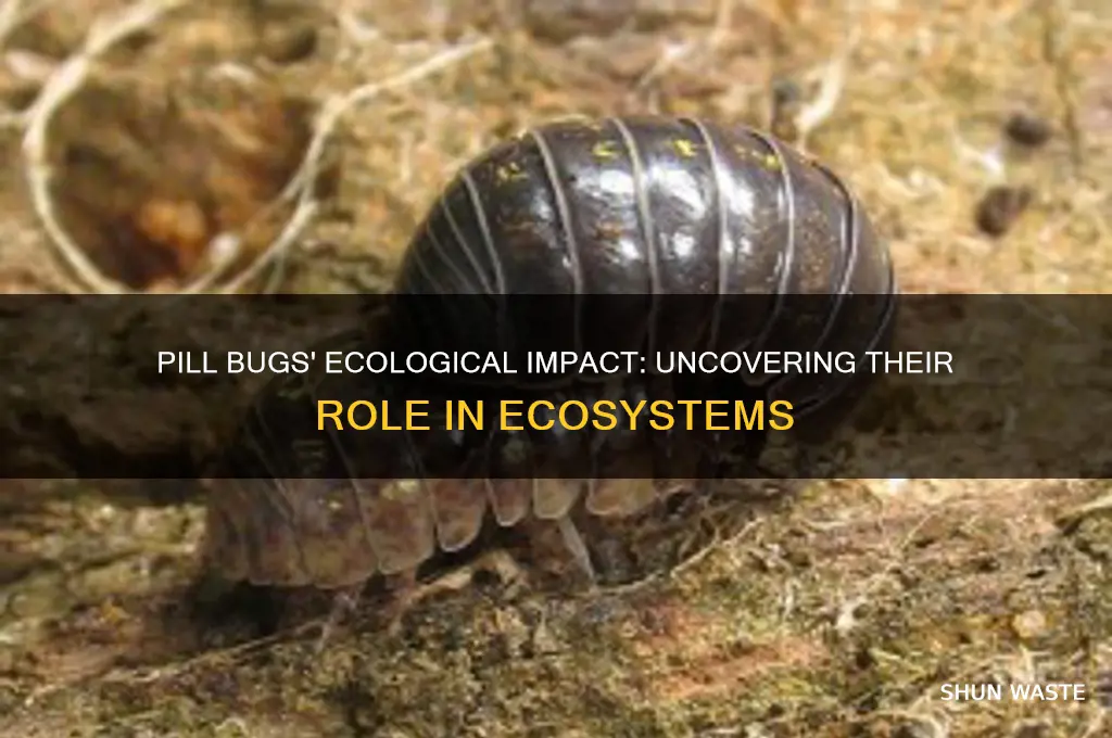 Pill Bugs' Ecological Impact: Uncovering Their Role In Ecosystems ...