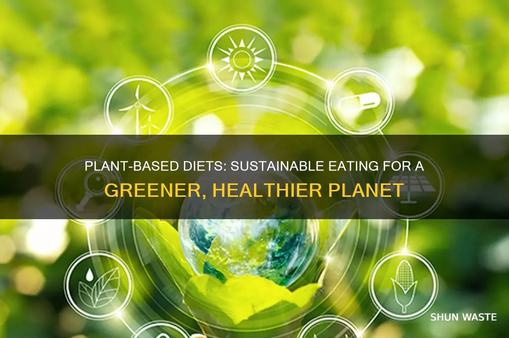 Plant-Based Diets: Sustainable Eating For A Greener, Healthier Planet ...