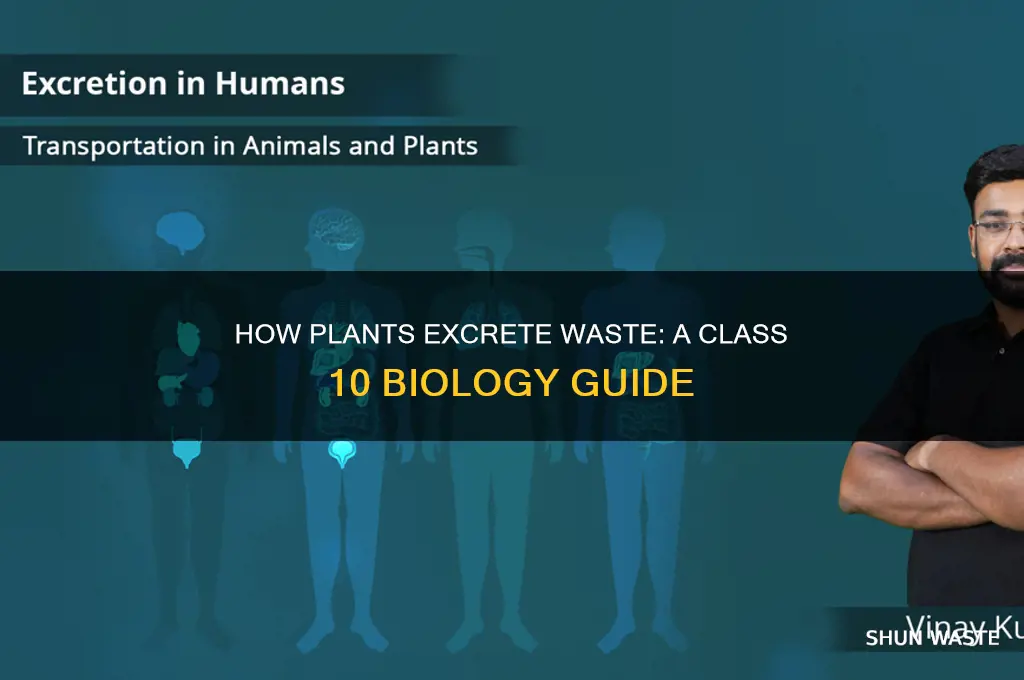 How Plants Excrete Waste: A Class 10 Biology Guide | ShunWaste