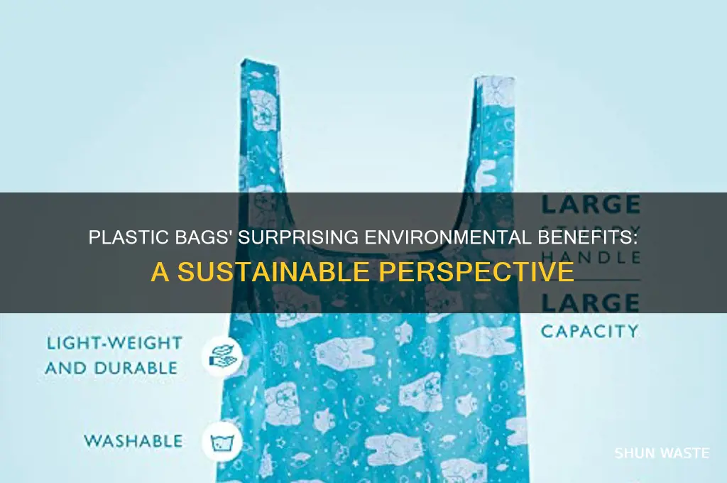 Plastic Bags' Surprising Environmental Benefits: A Sustainable ...