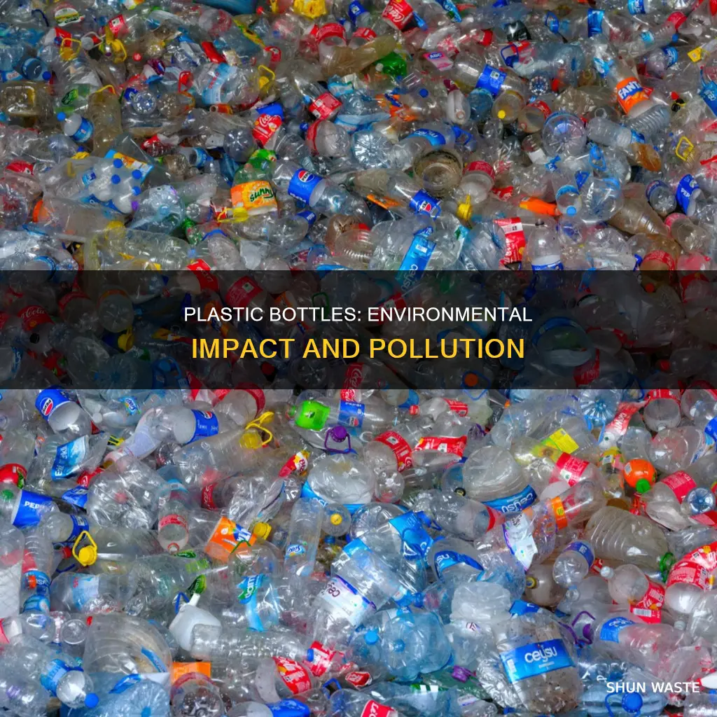 Plastic Bottles: Environmental Impact And Pollution | ShunWaste