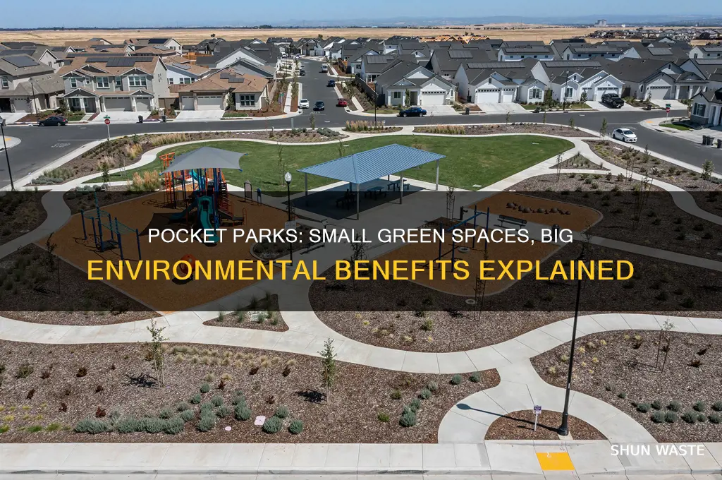 Pocket Parks: Small Green Spaces, Big Environmental Benefits Explained ...