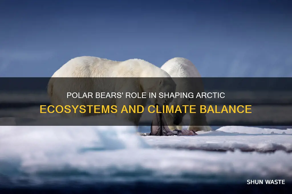 Polar Bears' Role In Shaping Arctic Ecosystems And Climate Balance ...
