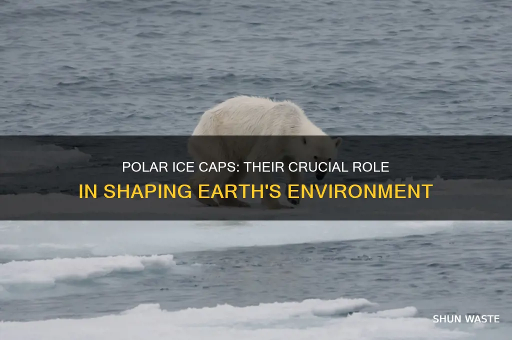 Polar Ice Caps: Their Crucial Role In Shaping Earth's Environment ...