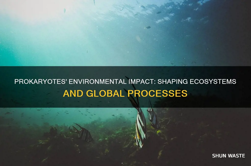 Prokaryotes' Environmental Impact: Shaping Ecosystems And Global ...