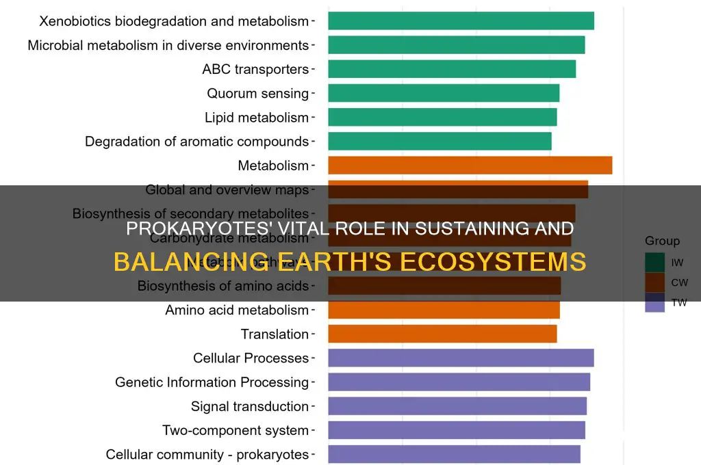 Prokaryotes' Vital Role In Sustaining And Balancing Earth's Ecosystems ...