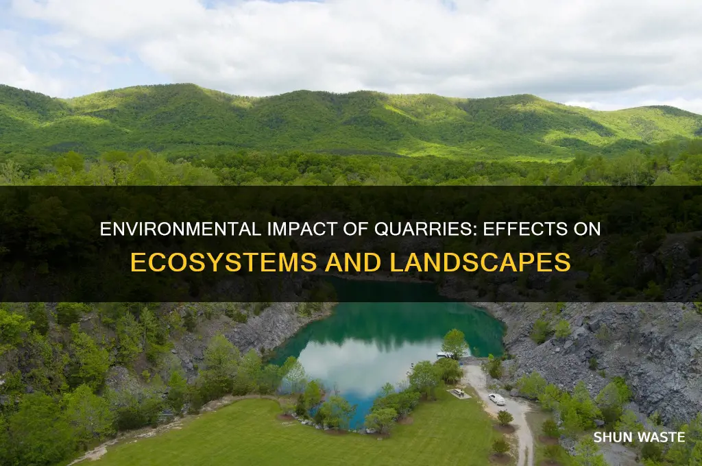 Environmental Impact Of Quarries: Effects On Ecosystems And Landscapes ...