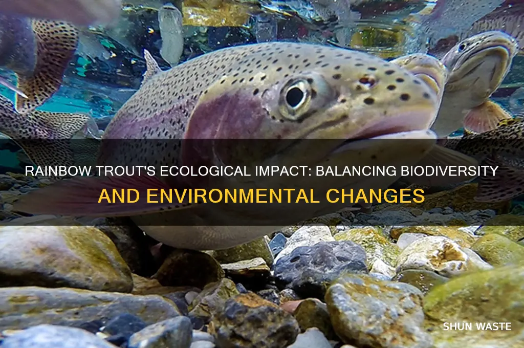 Rainbow Trout's Ecological Impact: Balancing Biodiversity And ...