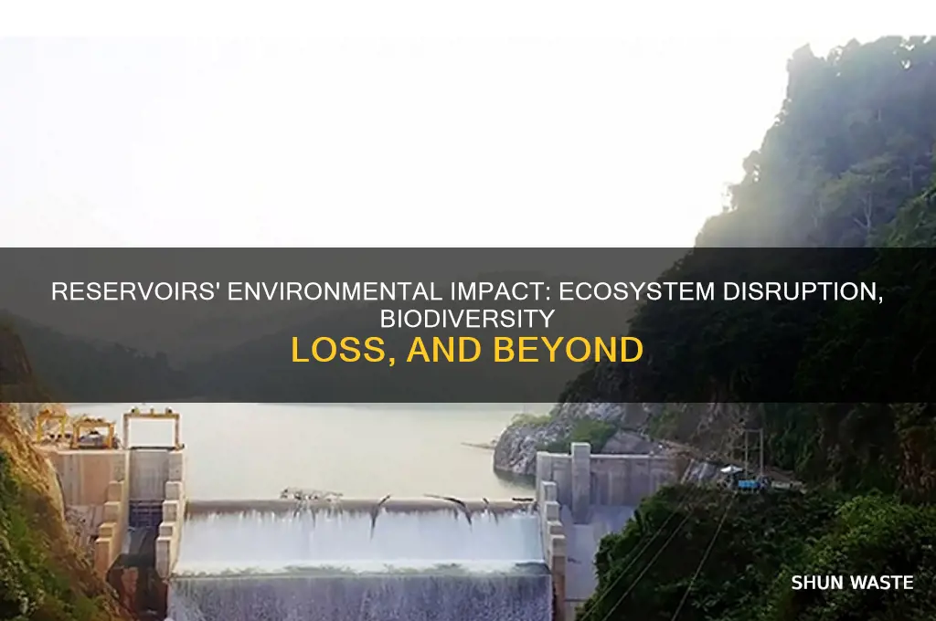 Reservoirs' Environmental Impact: Ecosystem Disruption, Biodiversity ...