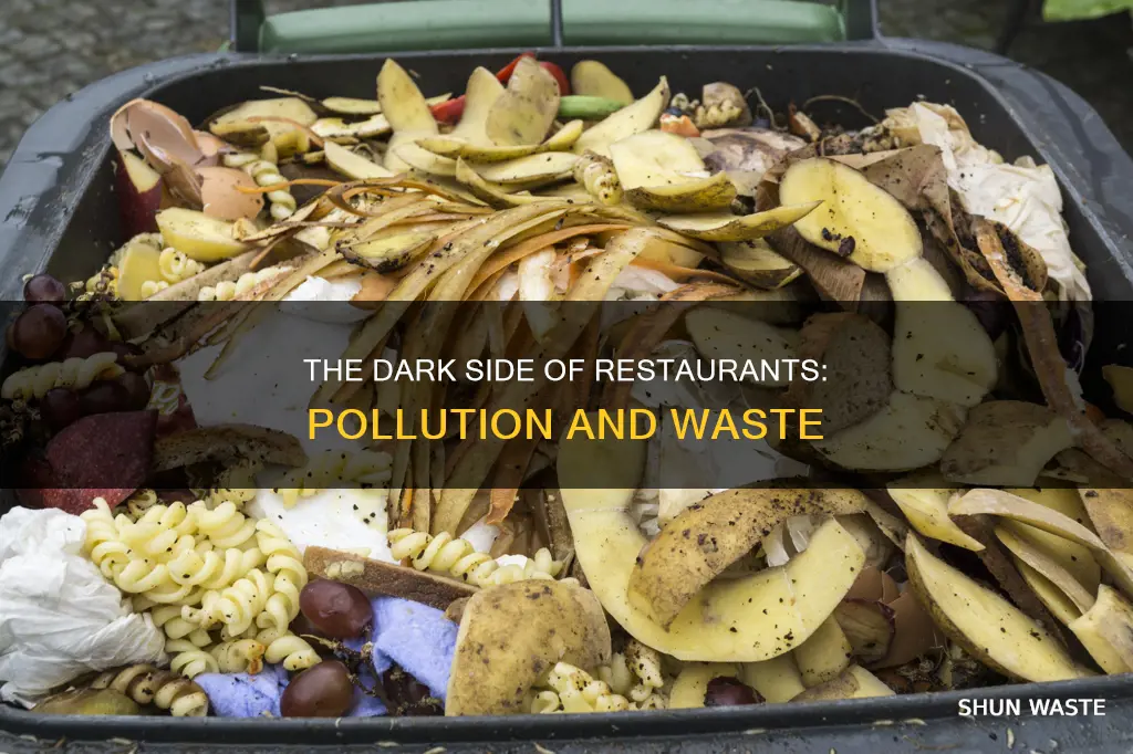 The Dark Side Of Restaurants: Pollution And Waste | ShunWaste