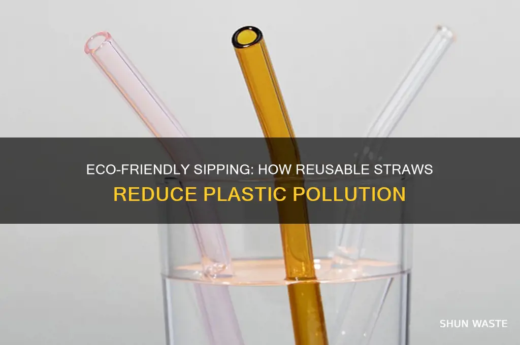 Eco-Friendly Sipping: How Reusable Straws Reduce Plastic Pollution ...