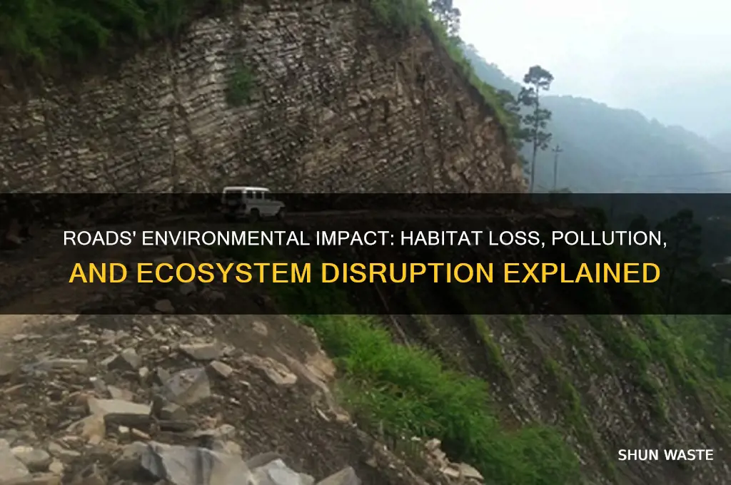 Roads' Environmental Impact: Habitat Loss, Pollution, And Ecosystem ...