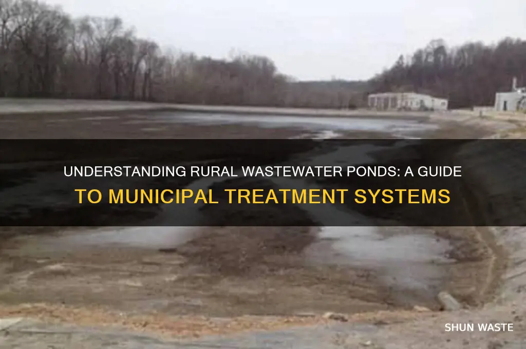 Understanding Rural Wastewater Ponds: A Guide To Municipal Treatment ...