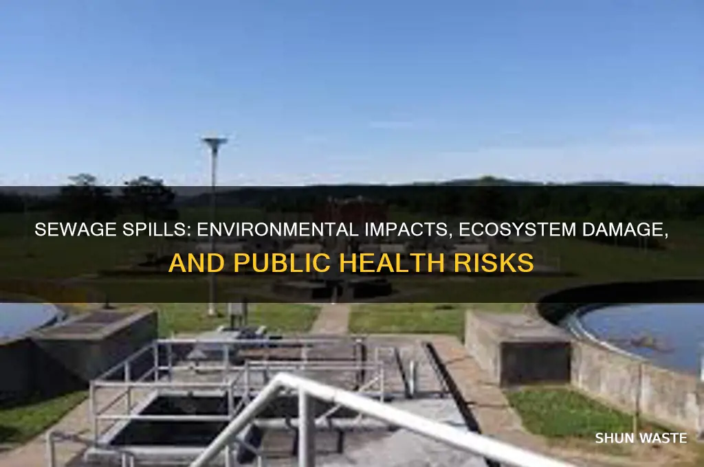 Sewage Spills: Environmental Impacts, Ecosystem Damage, And Public ...