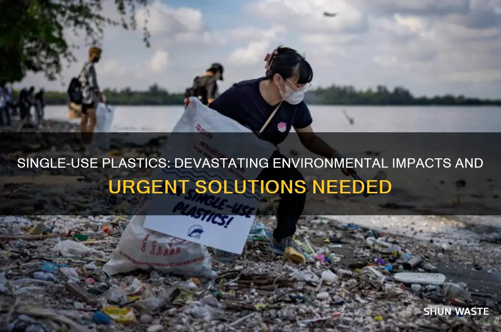 Single-Use Plastics: Devastating Environmental Impacts And Urgent ...