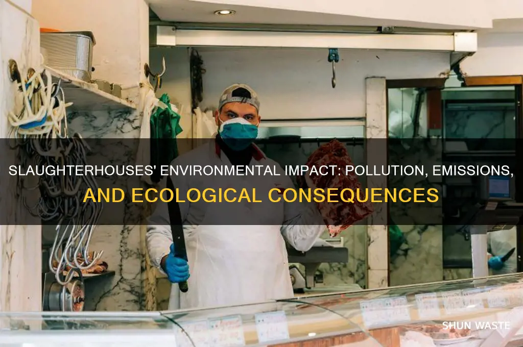 Slaughterhouses' Environmental Impact: Pollution, Emissions, And ...