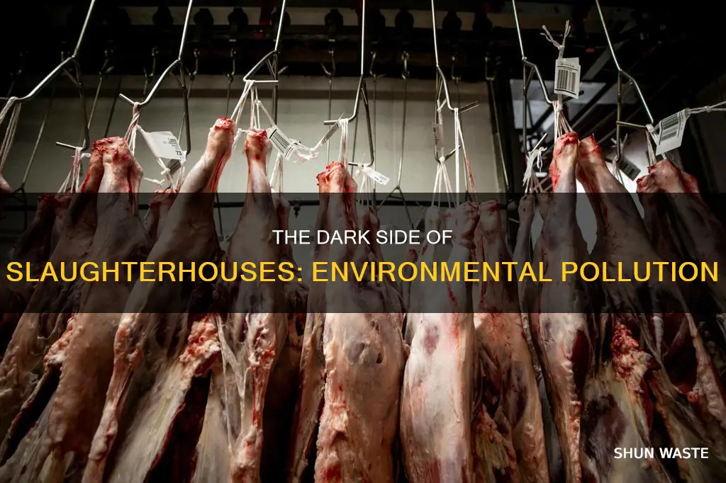 The Dark Side Of Slaughterhouses: Environmental Pollution | ShunWaste