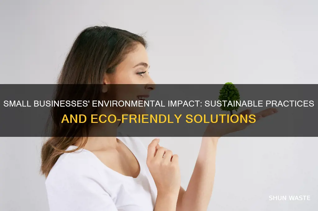Small Businesses' Environmental Impact: Sustainable Practices And Eco ...