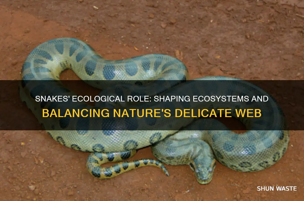 Snakes' Ecological Role: Shaping Ecosystems And Balancing Nature's ...