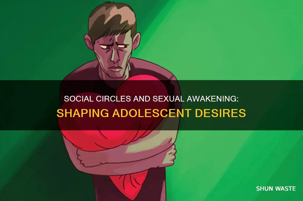 Social Circles And Sexual Awakening: Shaping Adolescent Desires | ShunWaste