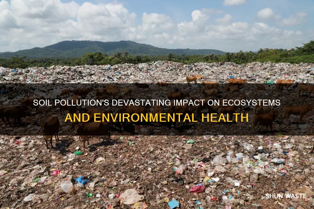 Soil Pollution's Devastating Impact On Ecosystems And Environmental ...