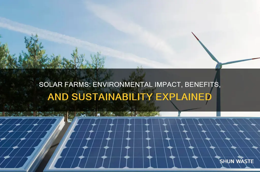 Solar Farms: Environmental Impact, Benefits, And Sustainability ...